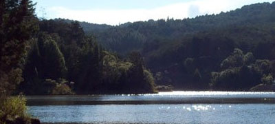 Inauguran ruta ecoturística Metrocable parque Arví - Noticias