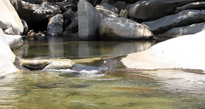 Badillo - Qué hacer y lugares para conocer