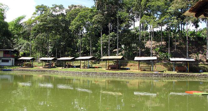 Caicedonia, la Centinela del Valle - Qué hacer y lugares para conocer