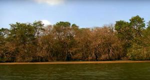 Peajes en la ruta de Santa Marta a Chivolo [2025] - Peajes en Colombia