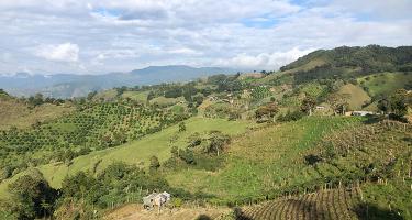 Peajes en la ruta de Nariño a La Ceja [2026] - Peajes en Colombia