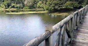 Qué hacer en Córdoba | Sitios turísticos para conocer