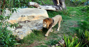 Peajes en la ruta de Samacá a Duitama [2025] - Peajes en Colombia