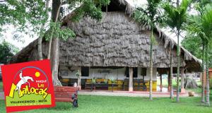 Qué hacer en Meta | Sitios turísticos para conocer