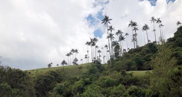 Sitios turísticos de Caldas: lugares para conocer [2025]