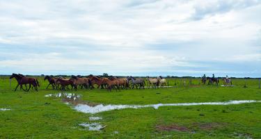 Peajes en la ruta de San Martín a Granada [2025] - Peajes en Colombia