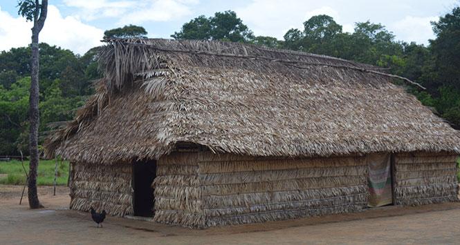 Visita a los sikuani y piapoco - Qué hacer y lugares para conocer